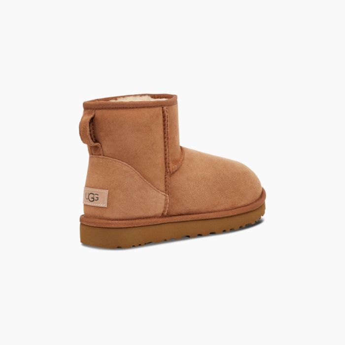 tan ugg boots